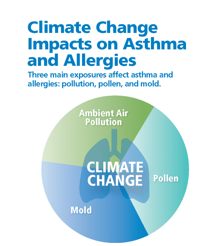 Rising Pollens and Shifting Seasons: How Climate Change is Affecting ...