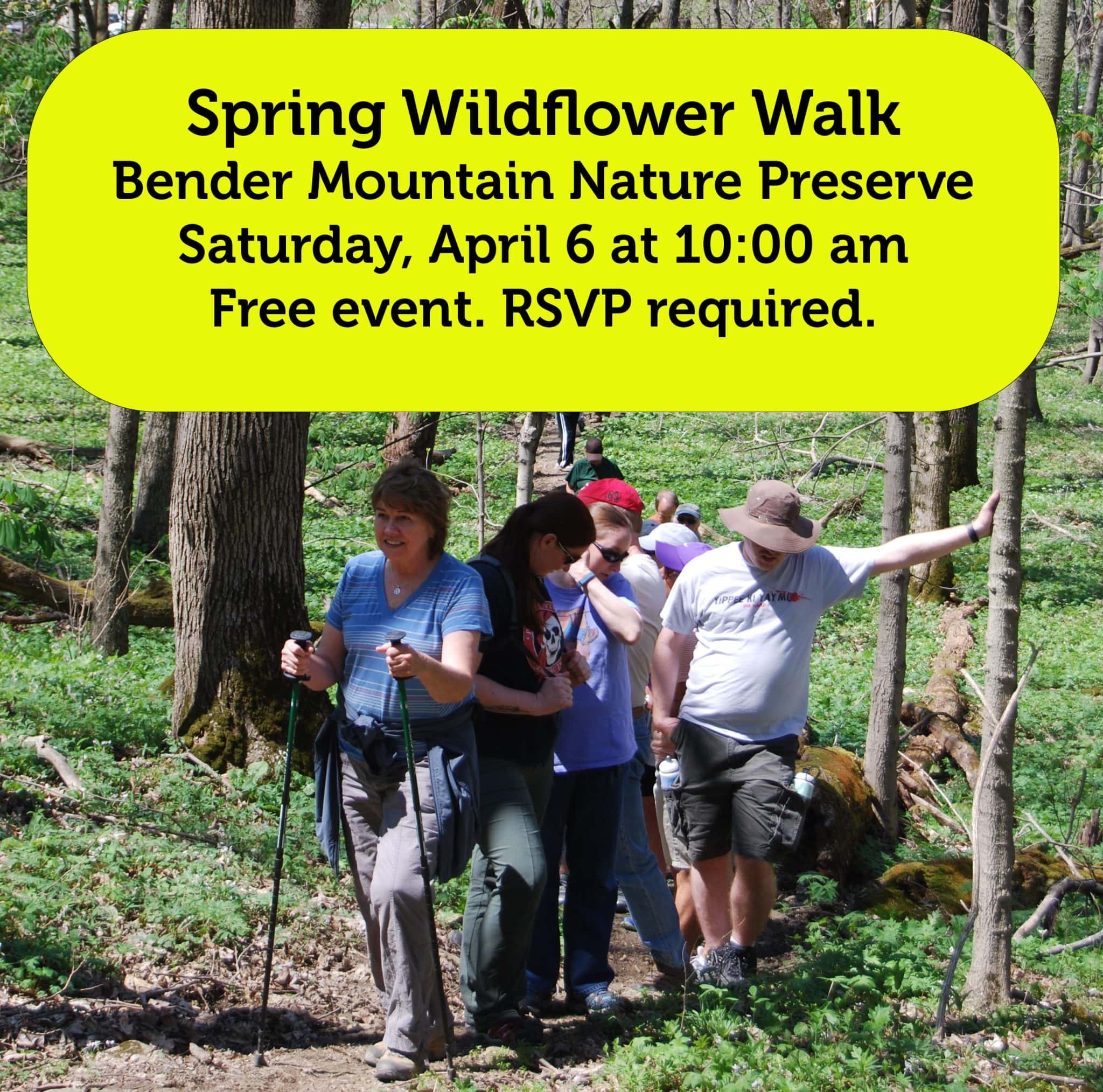 Spring Wildflower Walk at Bender Mountain Nature Preserve | Green Umbrella