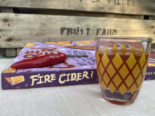Fire Cider-Making Workshop | Green Umbrella