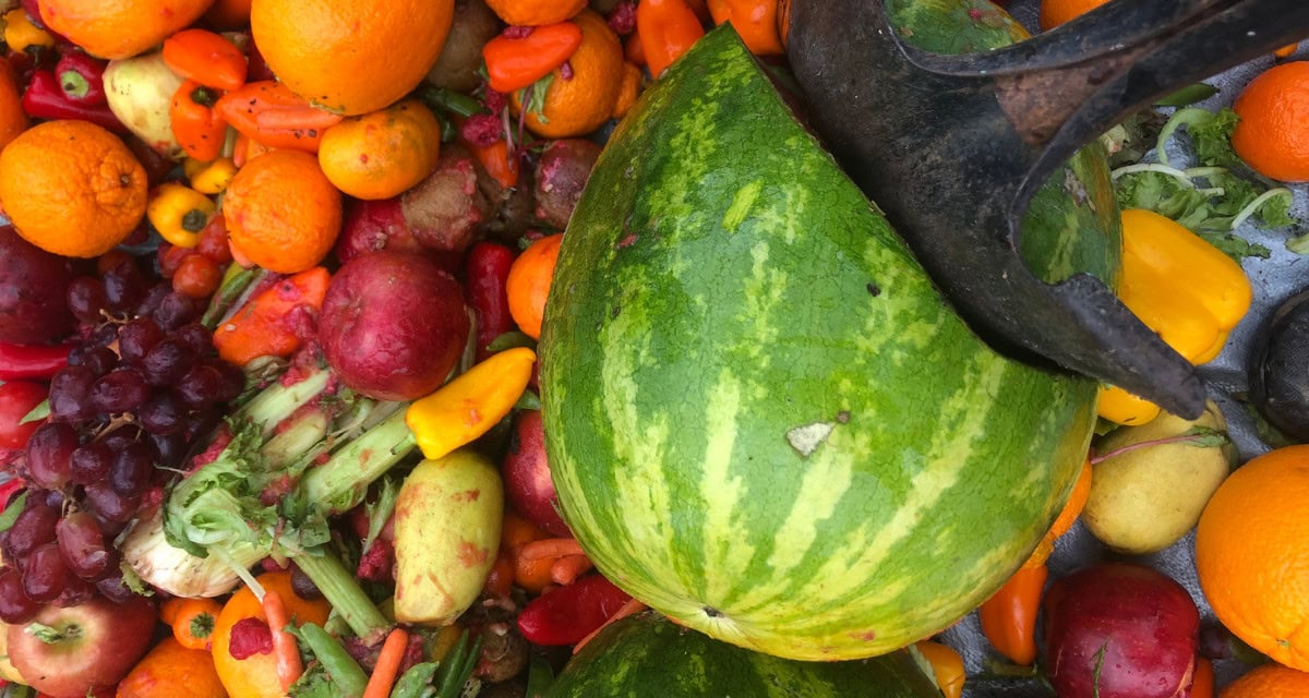 Green Umbrella’s First Ever Wasted Food Summit Coming to Memorial Hall ...