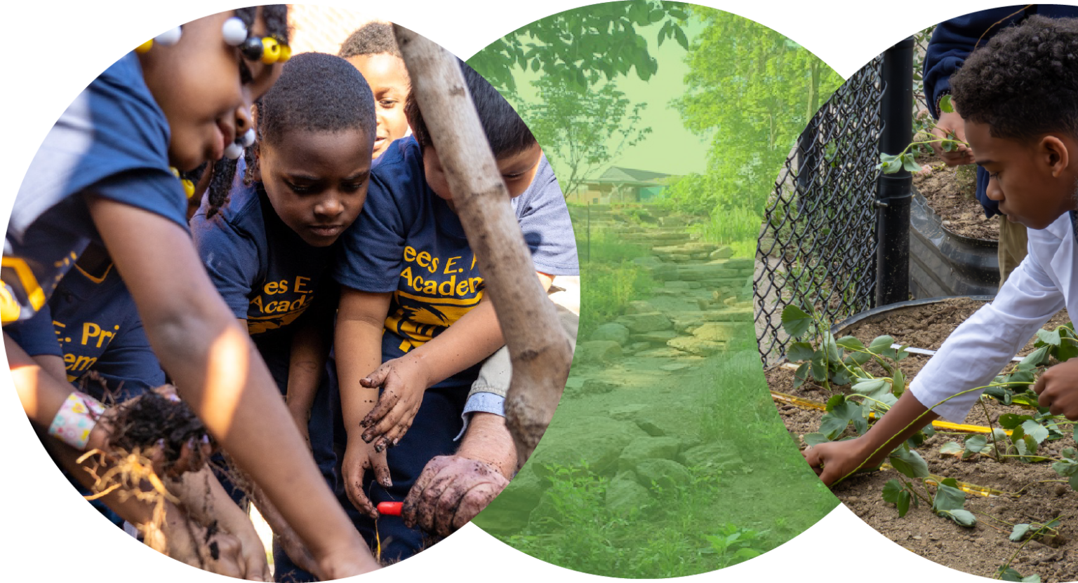 Green Schoolyards Action Network | Green Umbrella