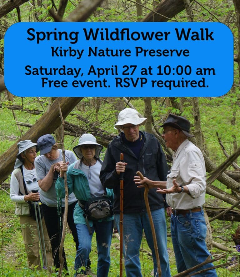 Spring Wildflower Walk - Kirby Nature Preserve | Green Umbrella