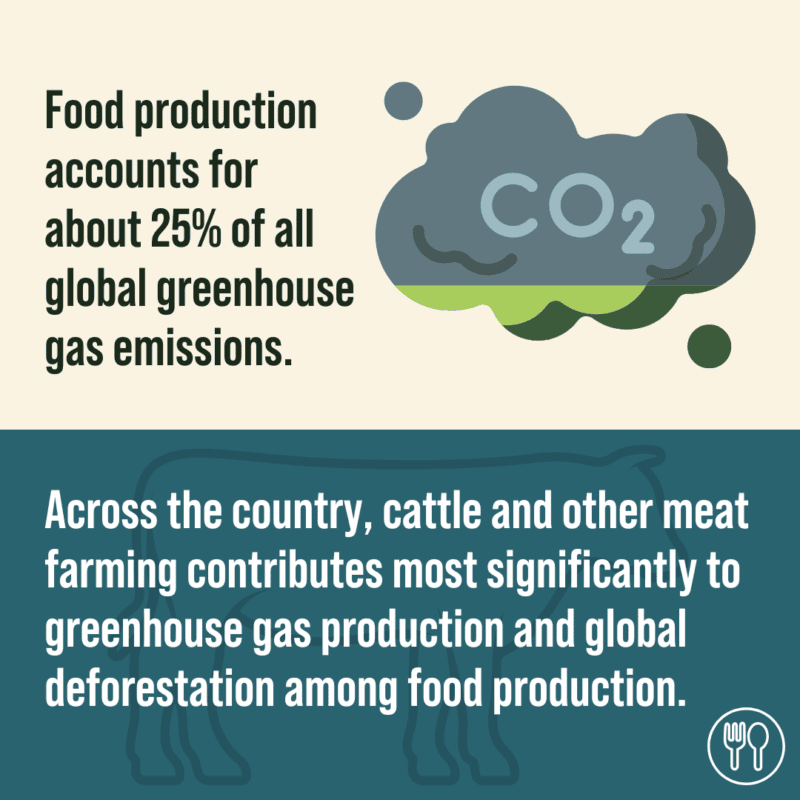 How Climate Change Impacts Healthy Food Systems | Green Umbrella