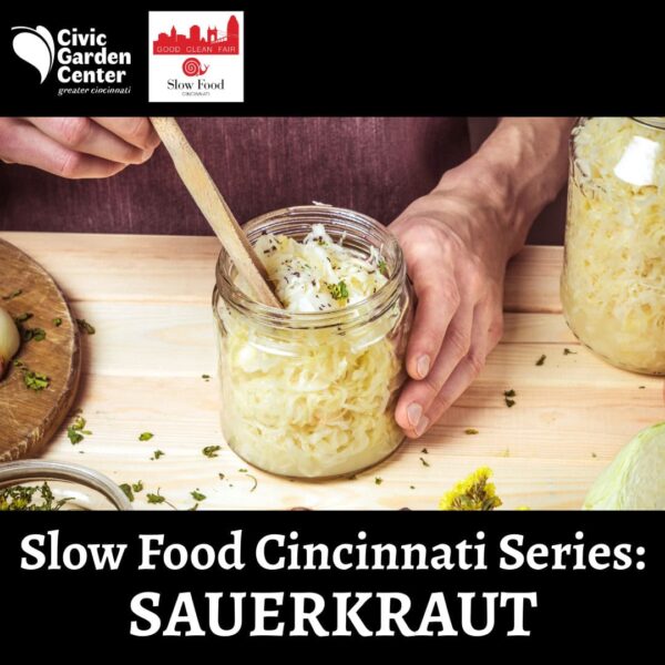 Slow Food Cincinnati Series: Sauerkraut Making Workshop | Green Umbrella
