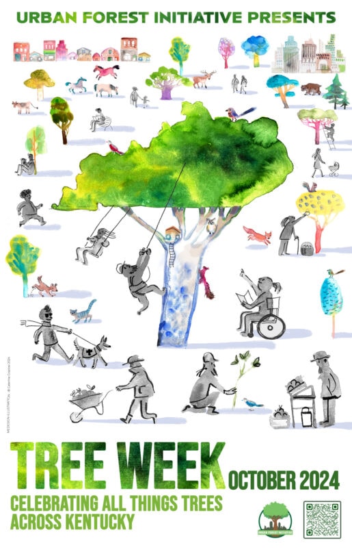 A Celebration of Trees | Green Umbrella