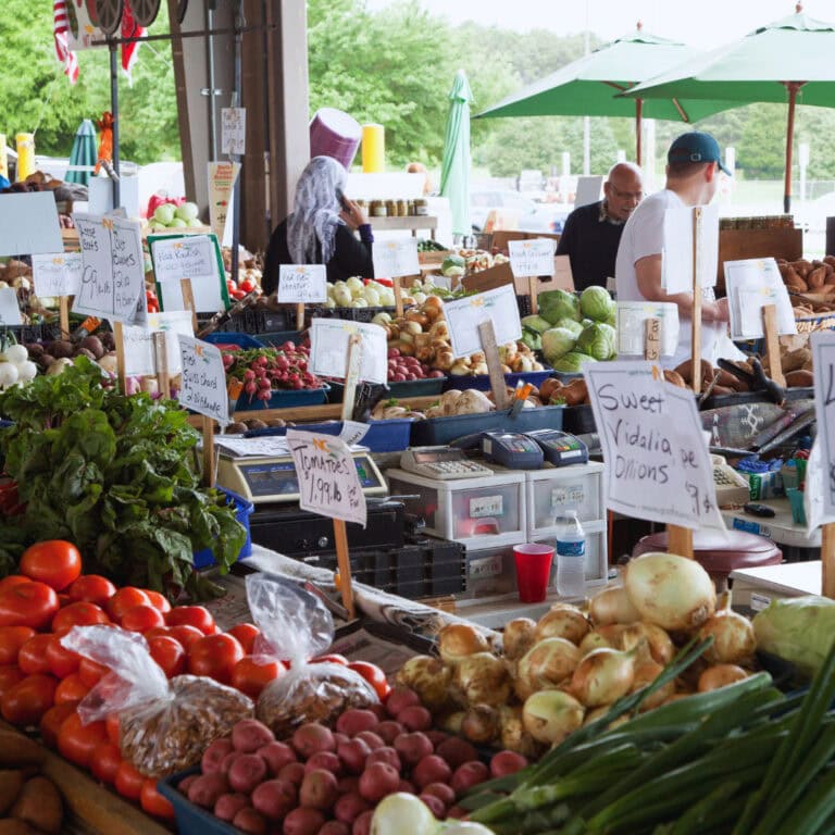 How Climate Change Impacts Healthy Food Systems | Green Umbrella